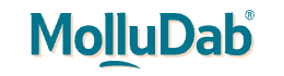 Home - Molludab